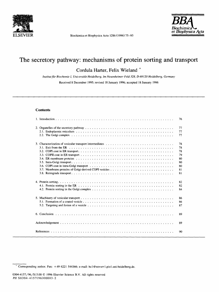 The Secretory Pathway Mechanisms of Protein Sortin | PDF | Endoplasmic ...