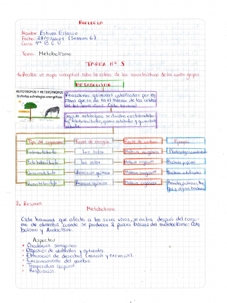 Bilogía Tarea5 | PDF