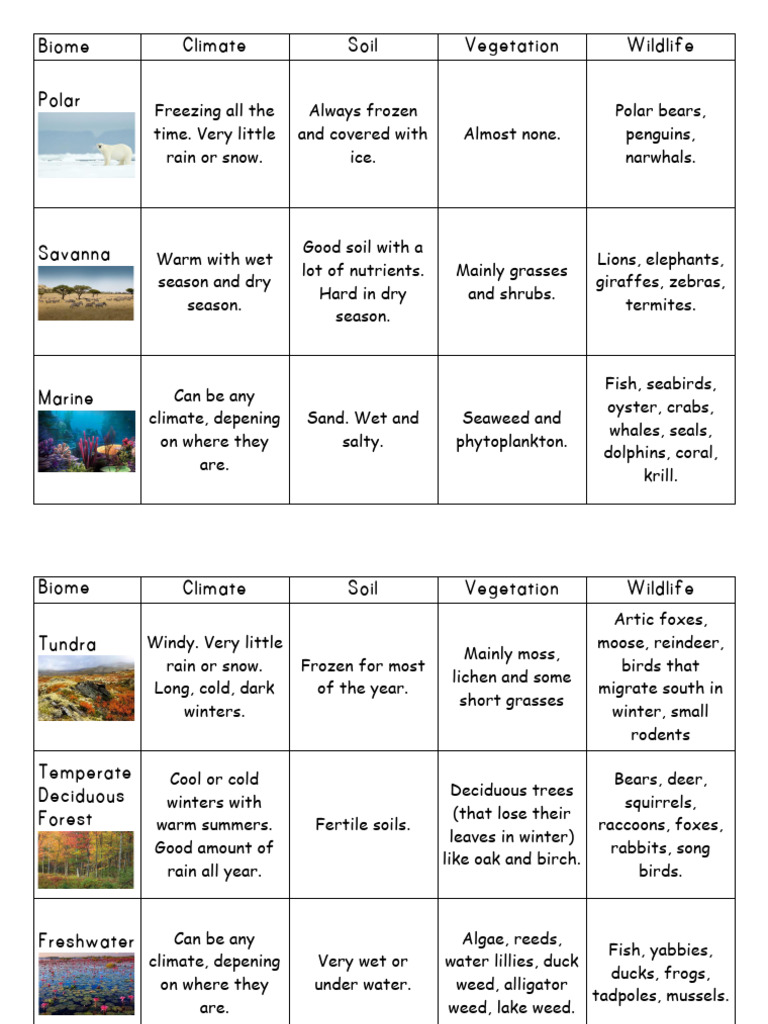 biome table - completed | PDF