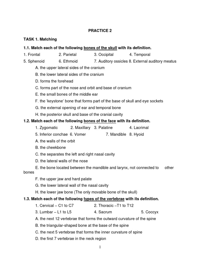 Anh Van 3 - Buoi 4 - MAtching | PDF | Skeleton | Vertebral Column