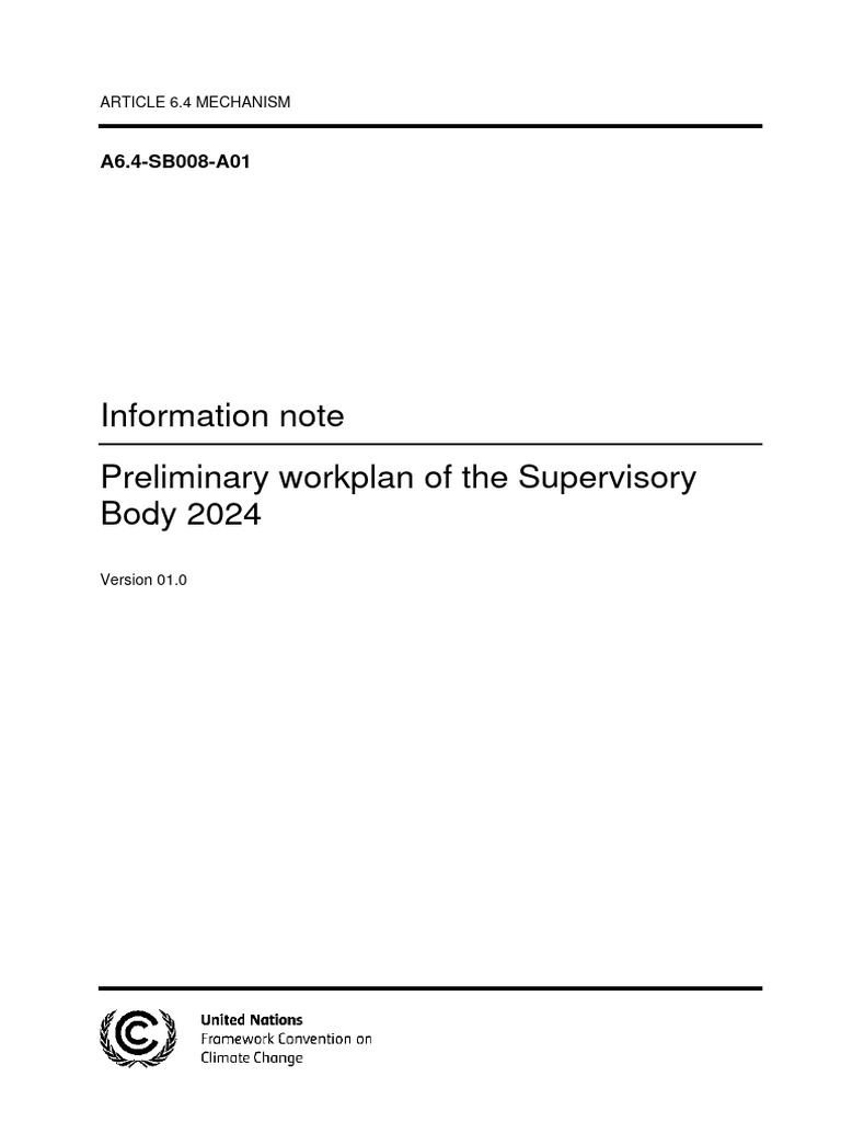 Information Note Preliminary Workplan of The Supervisory Body 2024 ...