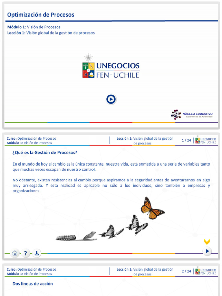 M1L1 Optmizacion de Procesos | PDF