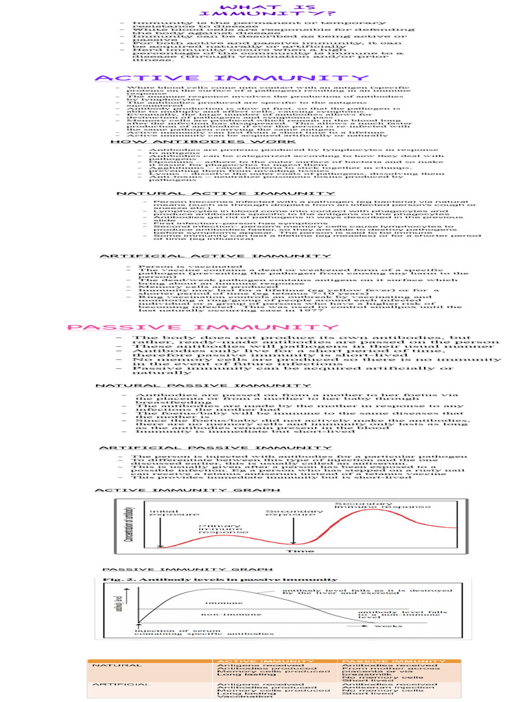 Natural vs. Artificial Immunity Explained | PDF | Immune System ...