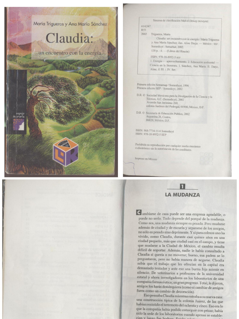 Lectura | PDF