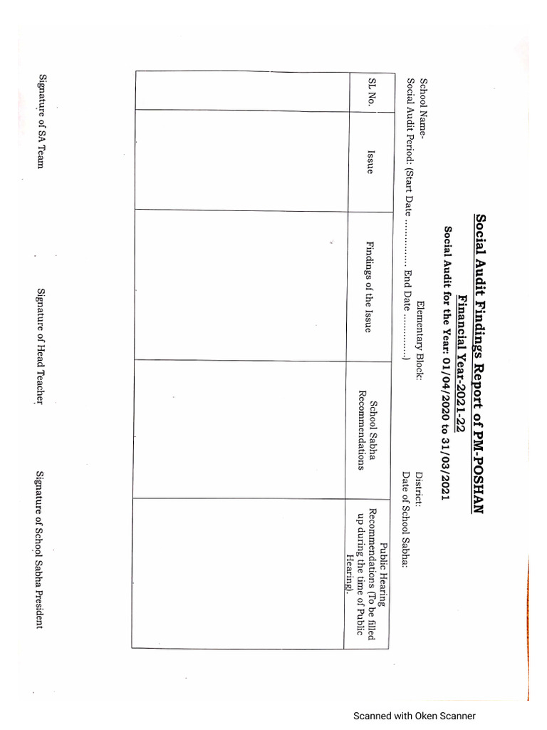 MDMS Reporting Format | PDF