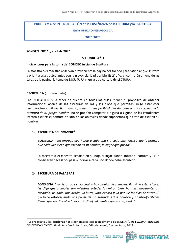 Indicaciones para El Sondeo de 2° | PDF | Escritura