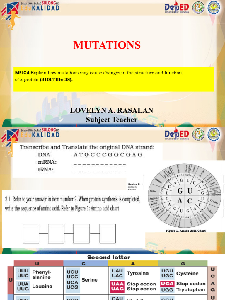 Mutation | Download Free PDF | Point Mutation | Chromosome