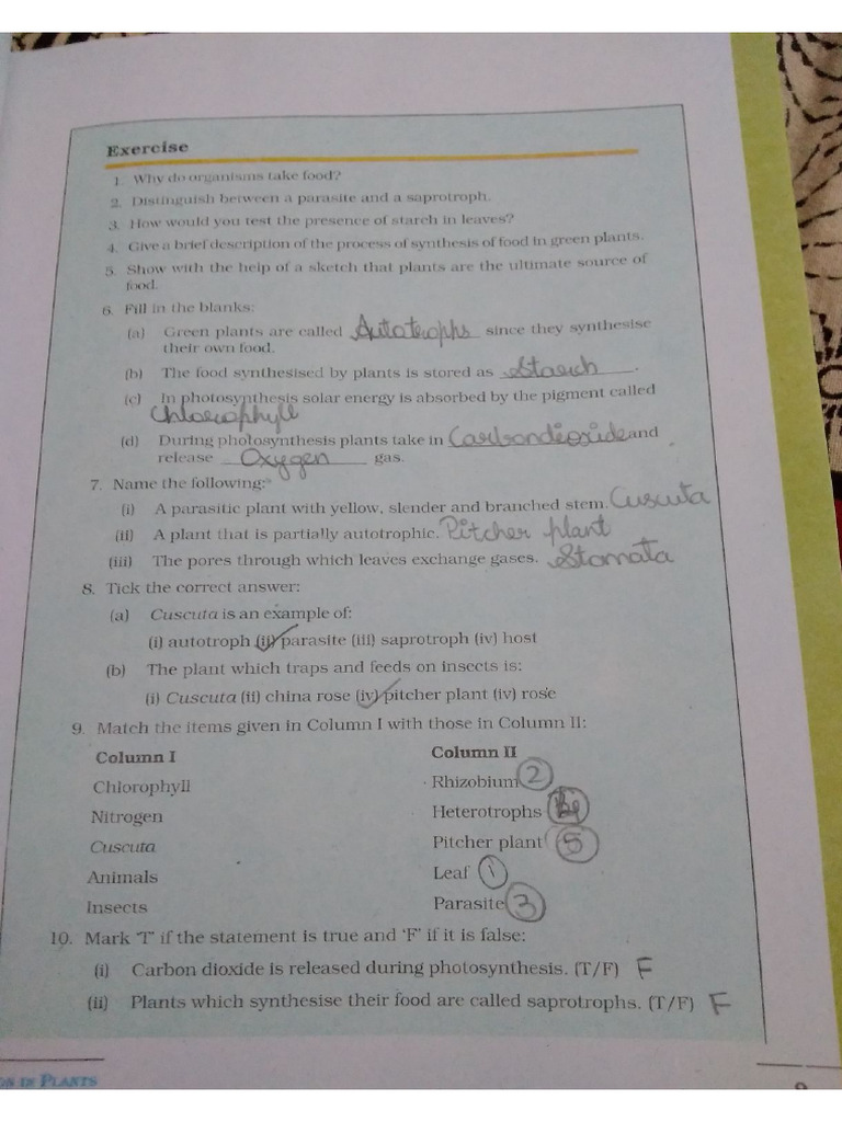 7TH SPARK Lesson 1 Notes | PDF