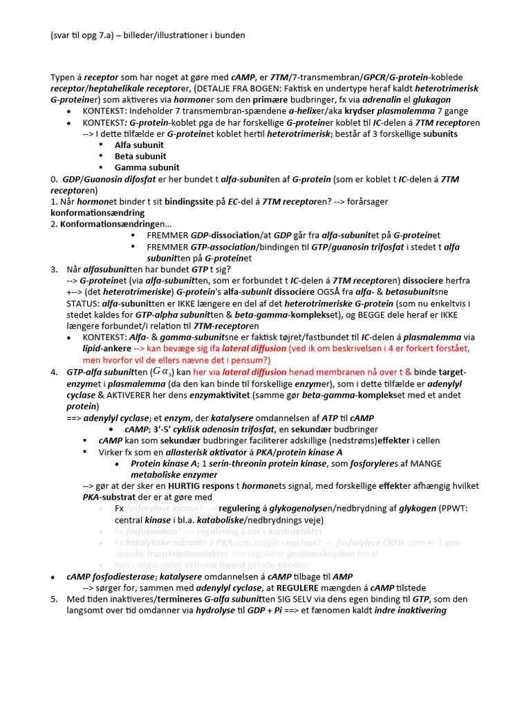 7TM Receptor Signalvej I Detalje | PDF