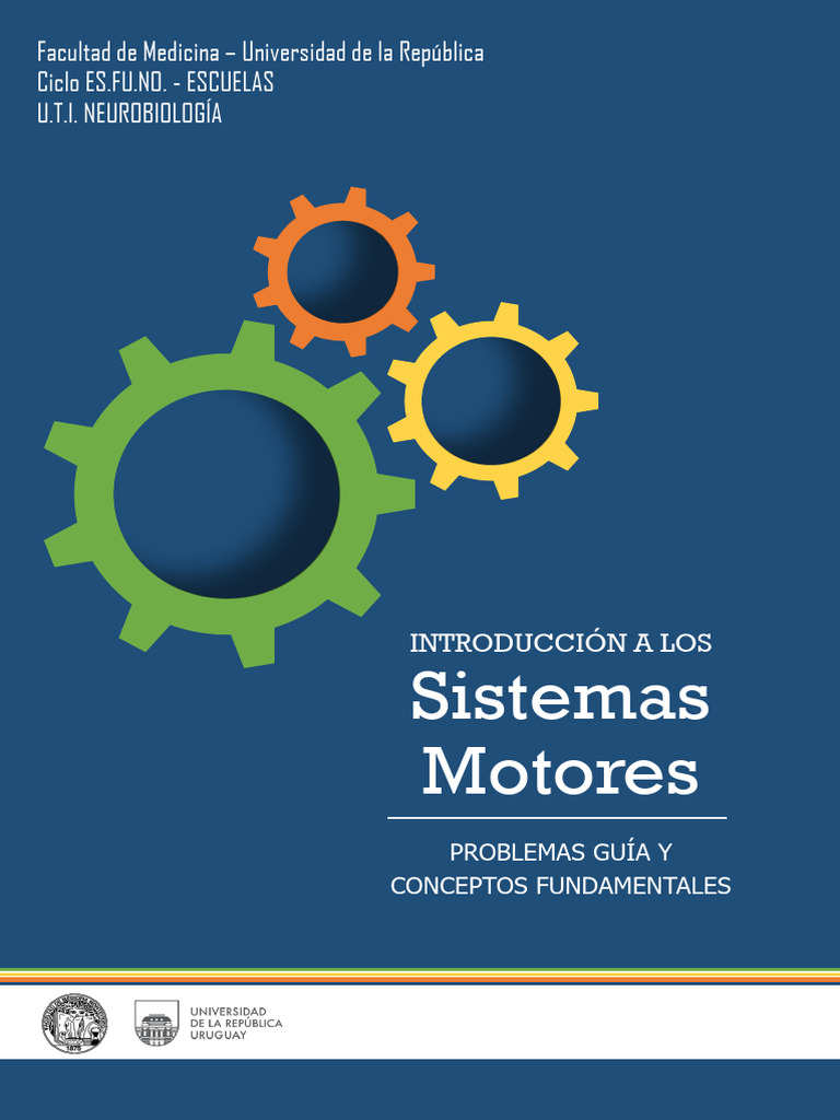 Guía SISTEMAS MOTORES | PDF | Sinapsis | Anatomía