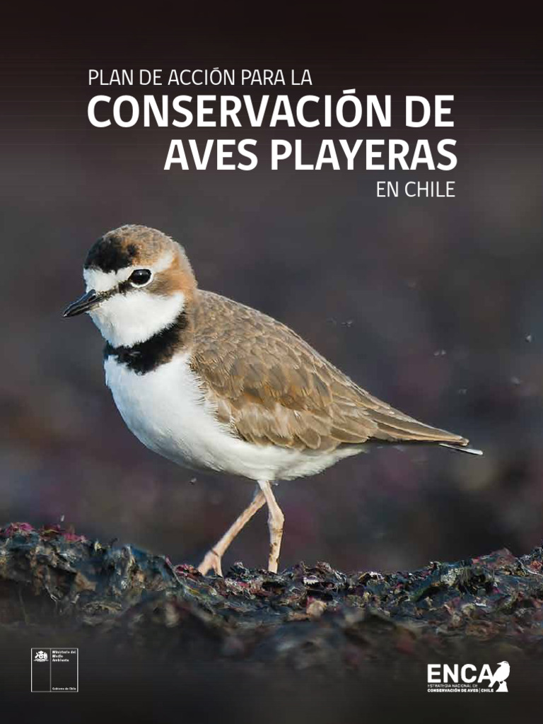Plan de Acción para La Conservación de Las Aves Playeras 1 | PDF | Ave marina | Contaminación