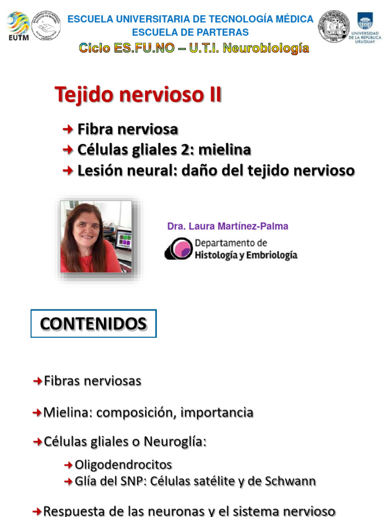 4 - Histo Fibra Mielina Lesión | PDF | Mielina | Axon