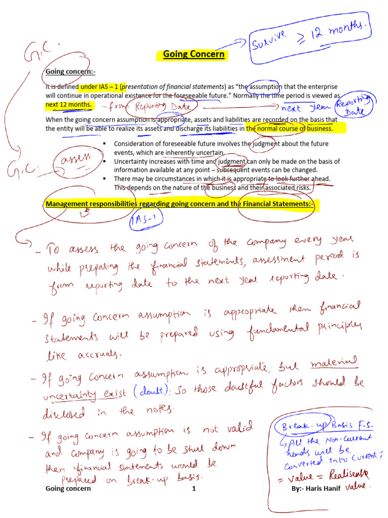 51) Going Concern | PDF | Going Concern | Audit