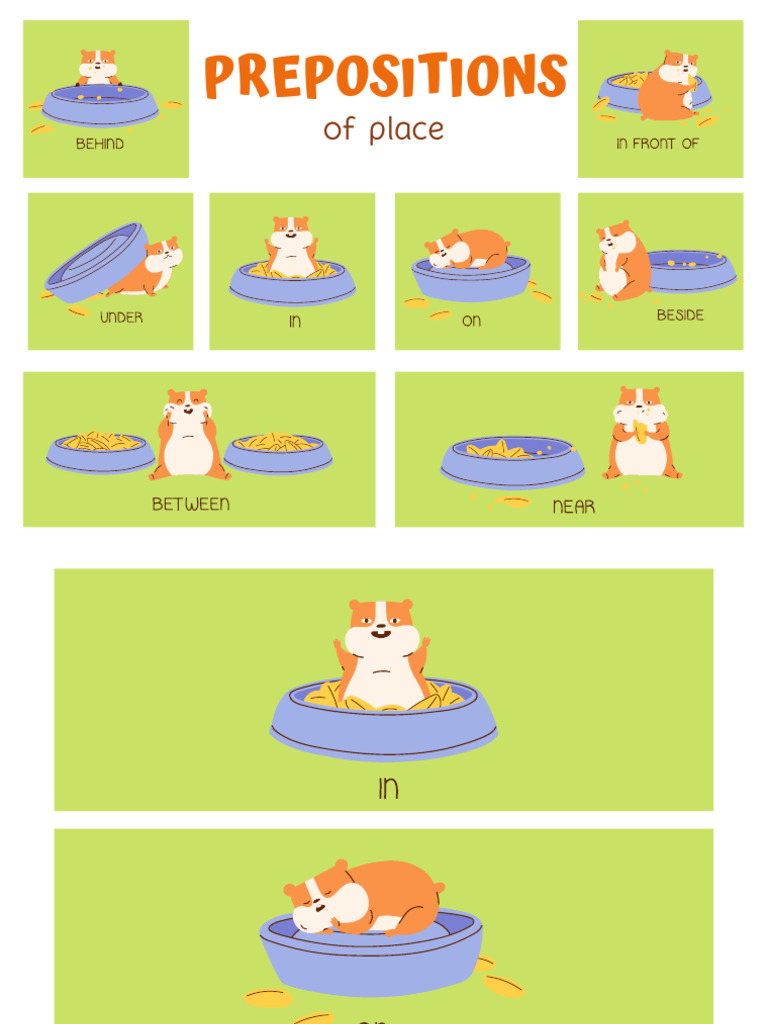 Colourful Cute Hamster Prepositions of Place Flashcards | PDF