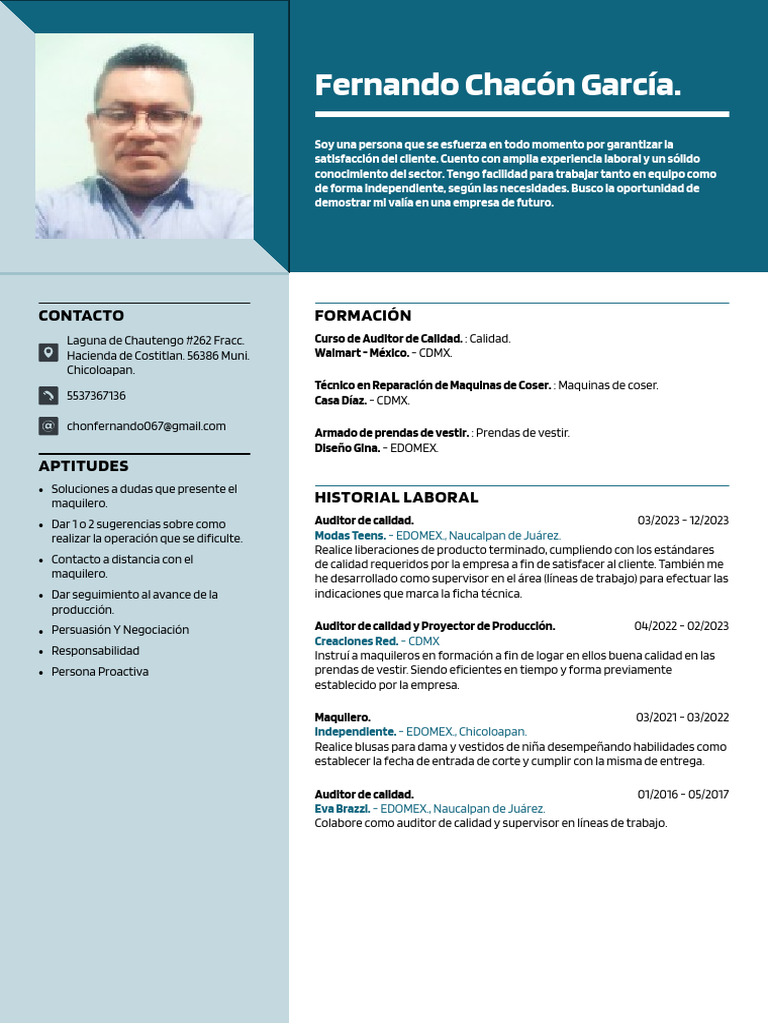 Fernando_CV | PDF | Business | Economias