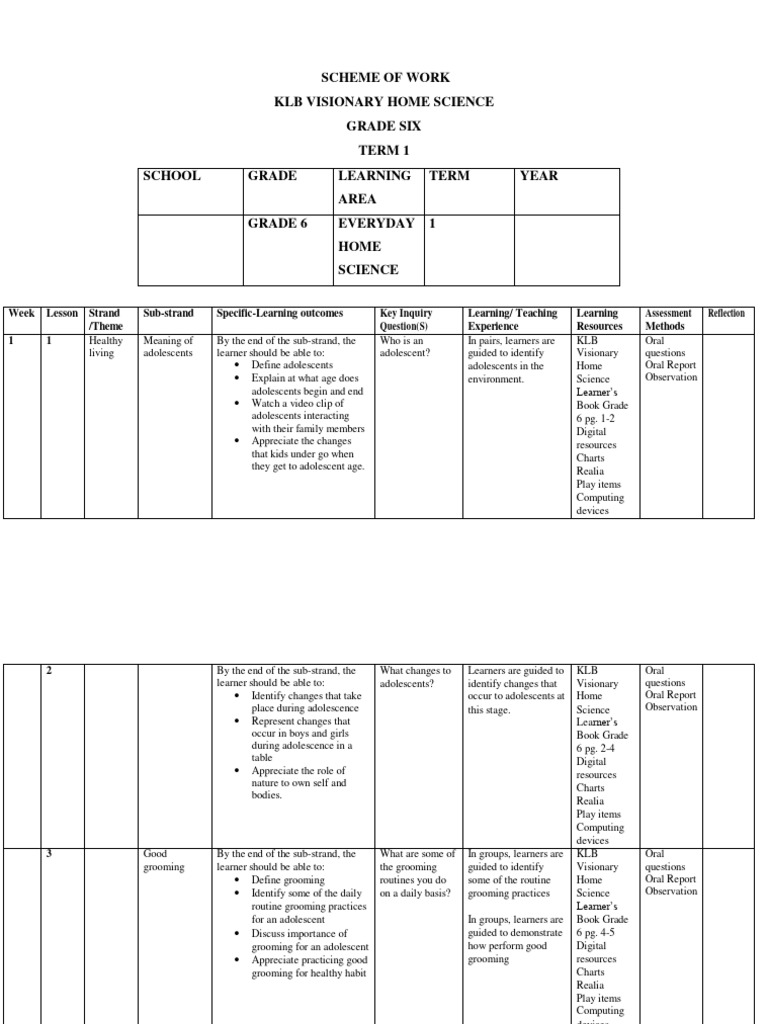 GRADE 6 TERM 1 HOME SCIENCE SCHEmes | PDF | Foods | Adolescence