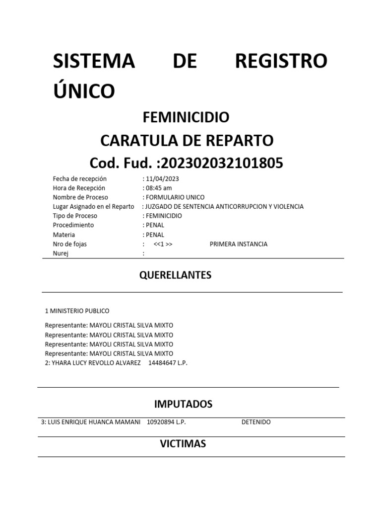 Modelo de Caratula de Expediente | PDF