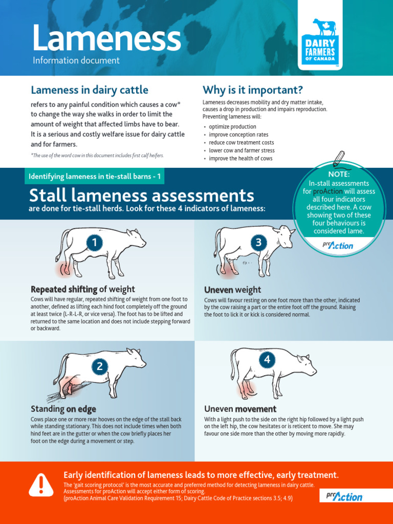 En PLC Lameness Final-2017 | PDF | Cattle | Dairy Cattle