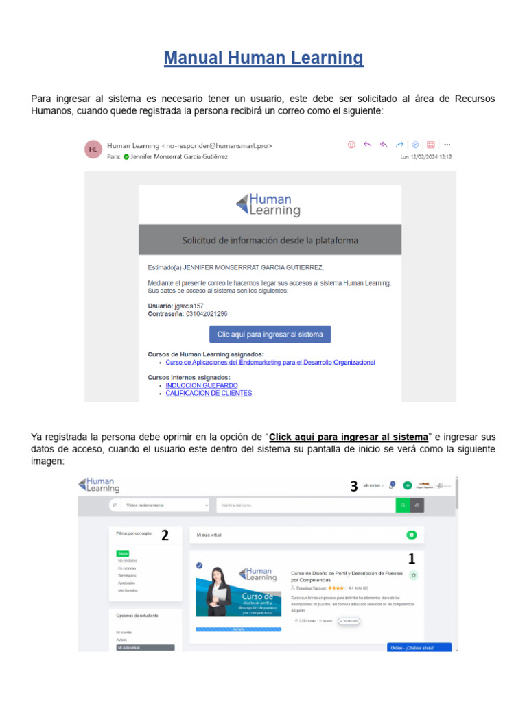 Manual Human Learning | PDF | Informática | Software