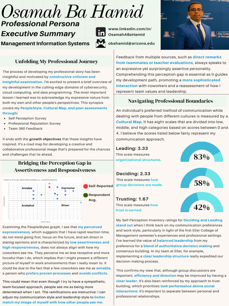 Professioanl Persona Executive Summary - Osamah Ba Hamid | PDF ...
