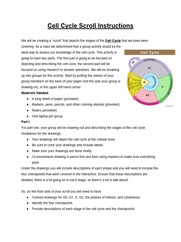 Cell Cycle Scroll Instructions Pdf Cell Cycle Cancer 