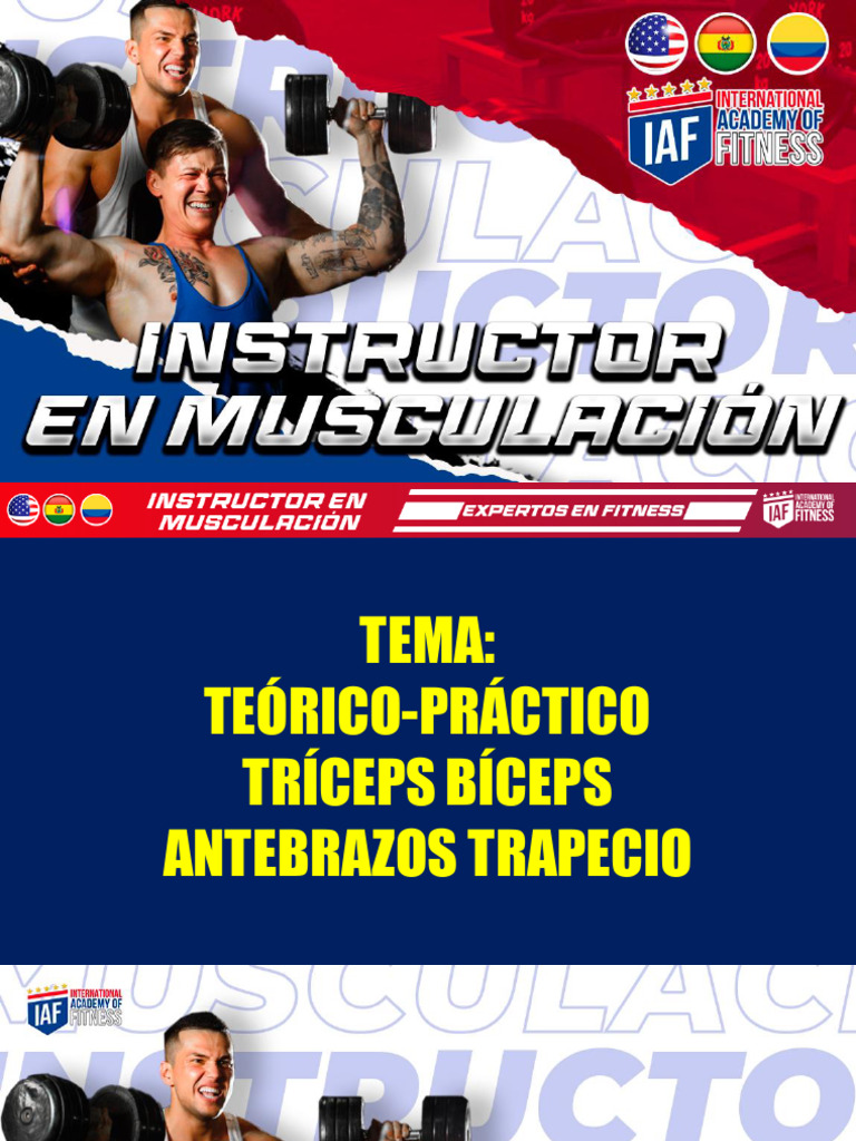 CLASE 6 TRICEPS BICEPS ANTEBRAZO TRAPECIO - Instructor | PDF | Codo | Hombro
