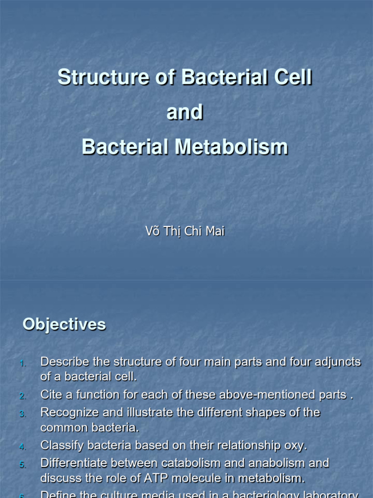 Bacterial Structure-Metabolism P | PDF | Bacteria | Cell (Biology)