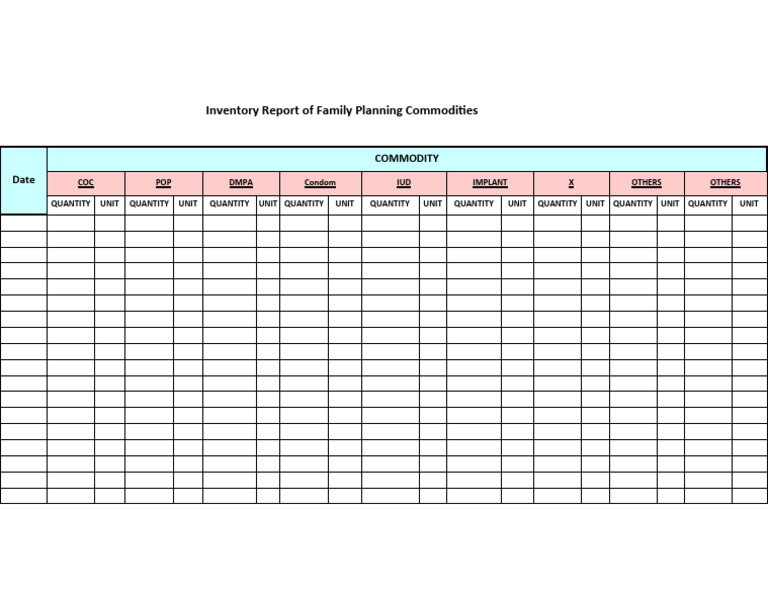 INVENTORY TEMPLATE | PDF