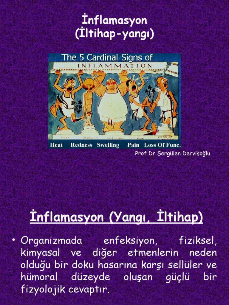 5 Iltihap Kopyası | PDF