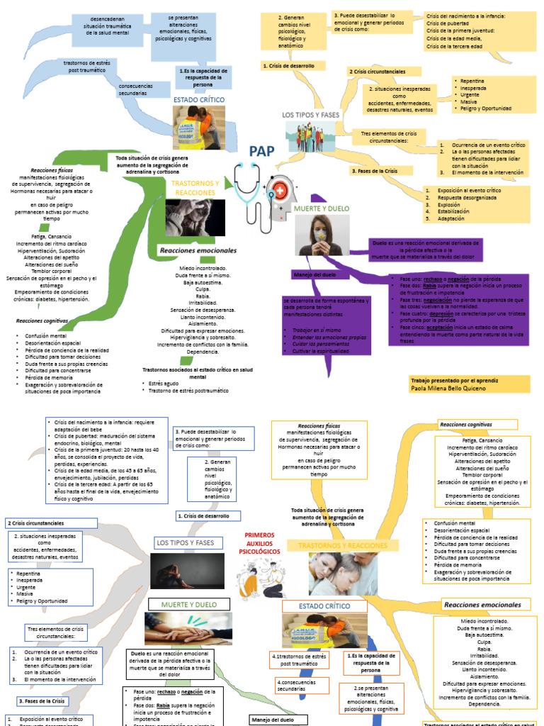 Mapa Mental PAP Dos Trabajos Del Mismo Tema | PDF | Las emociones | Estrés (biología)