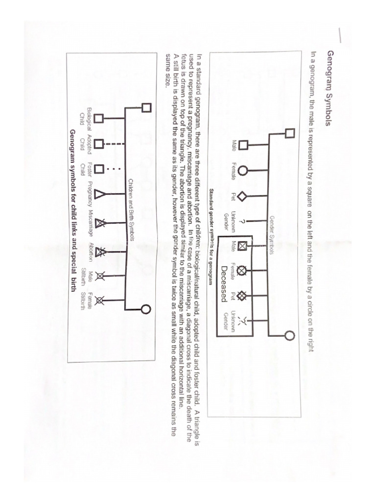 Genogram Symbols | PDF