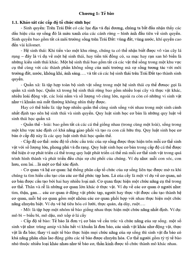 SHDC Bu I 1 | PDF