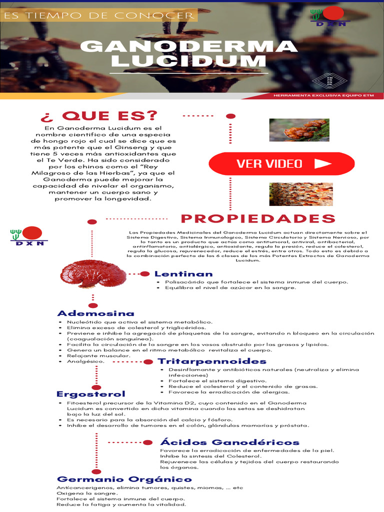 INFOGRAFIA GANODERMA LUCIDUM DXN | PDF | Pasteles | Nutrición