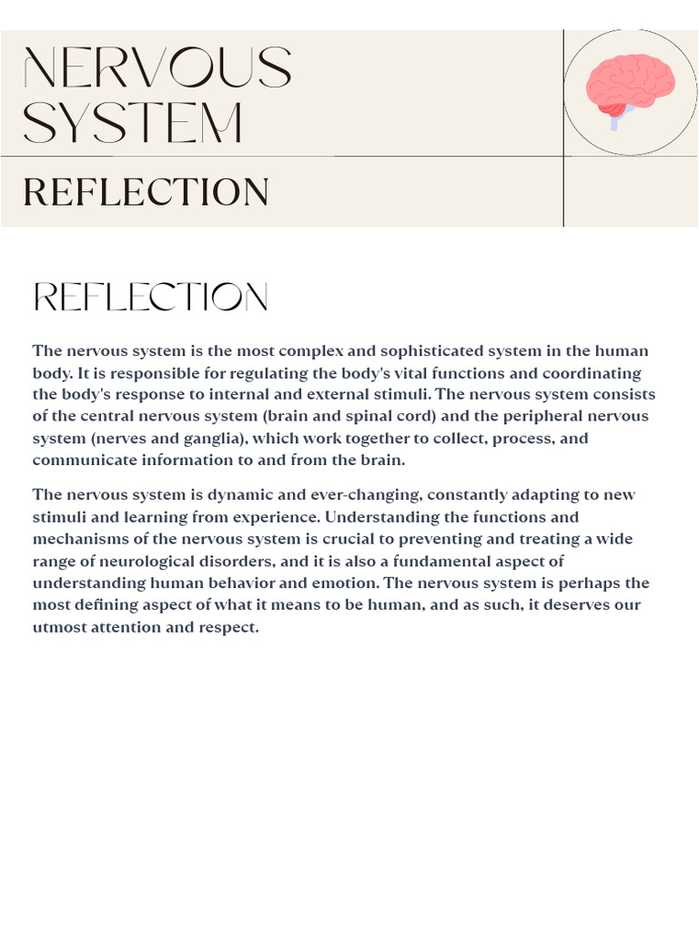 Reflection Nervous System | PDF