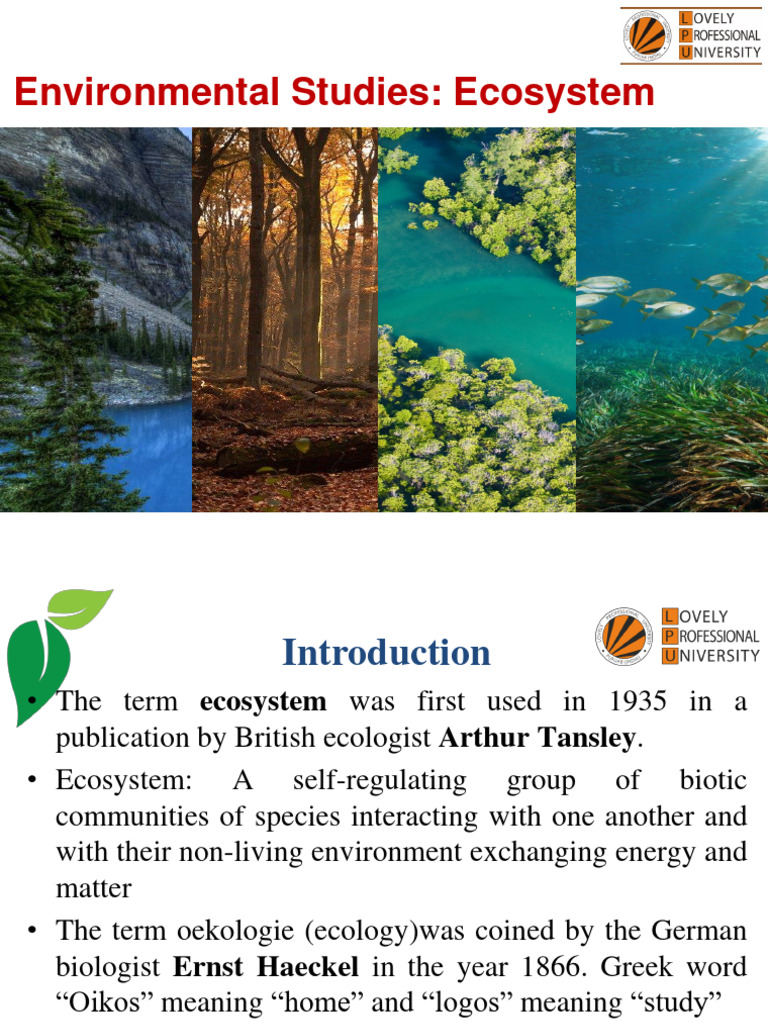 Unit 2 Ecosystem | PDF | Food Web | Ecosystem