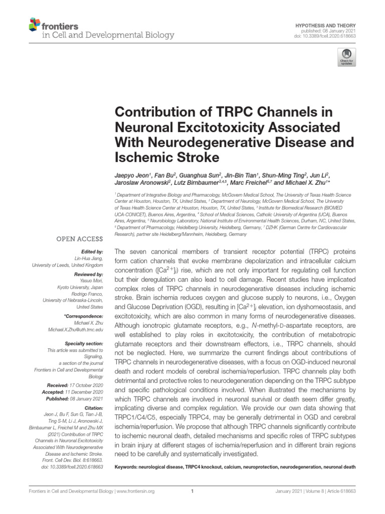 Contribution of TRPC Channels in Neuronal Excitotoxicity Associated With Neurodegenerative ...