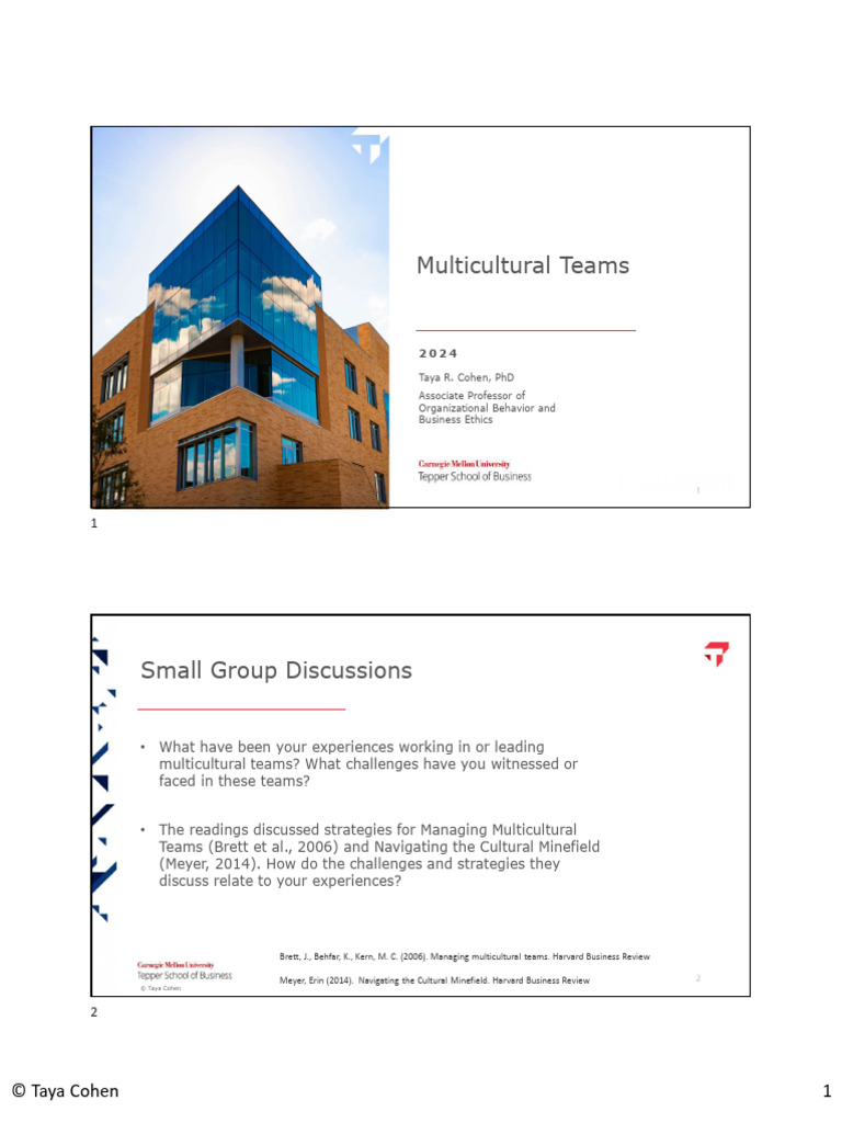Multicultural Teams Pdf Metacognition Social Stratification