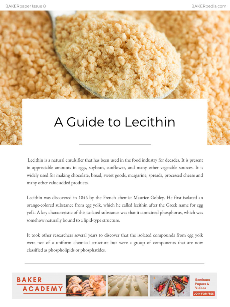 LecithinBAKERpaper 2022 | PDF | Phospholipid | Lipid