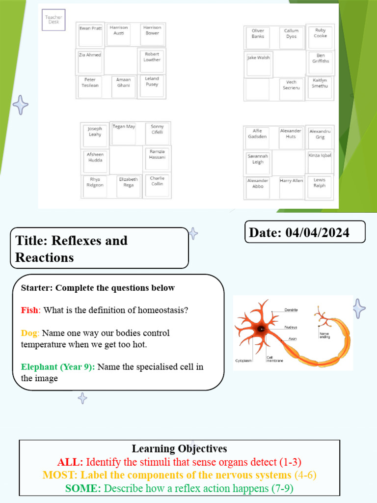 RBA Lesson 1 Reflexes and Reactions | Download Free PDF | Nervous ...