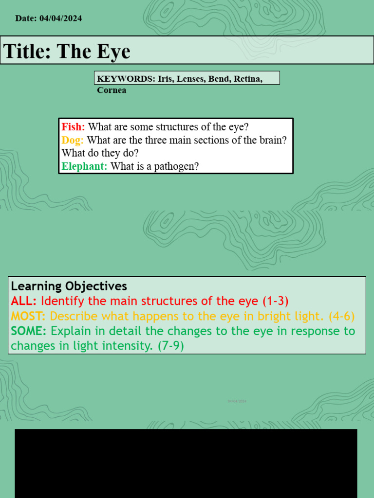 RBA Eye Grade 4 6 10x1 | PDF | Eye | Human Eye