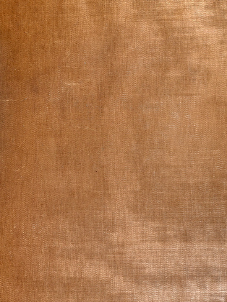 Iconesmycologic 01 Boud | PDF