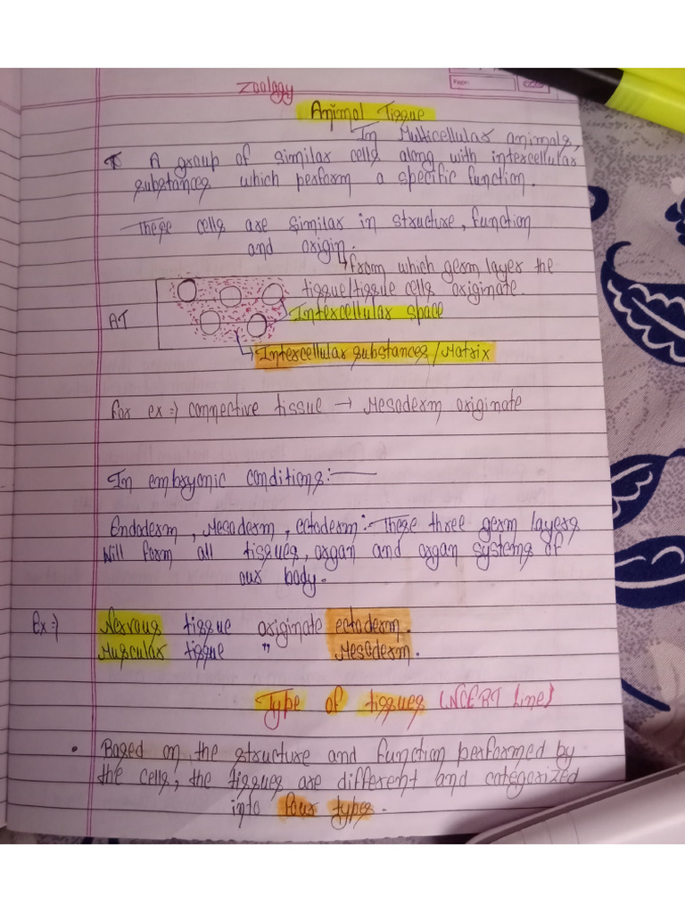 Animal Tissue, Handwritten Notes @nikki | PDF