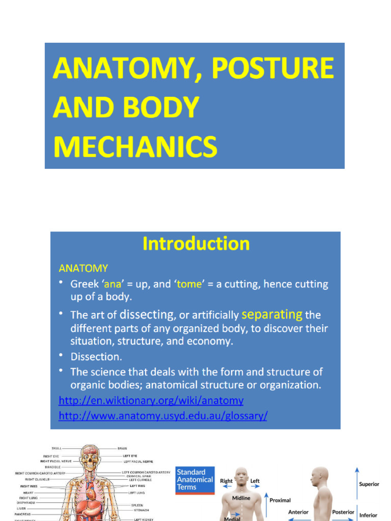 Body Mechanics | PDF