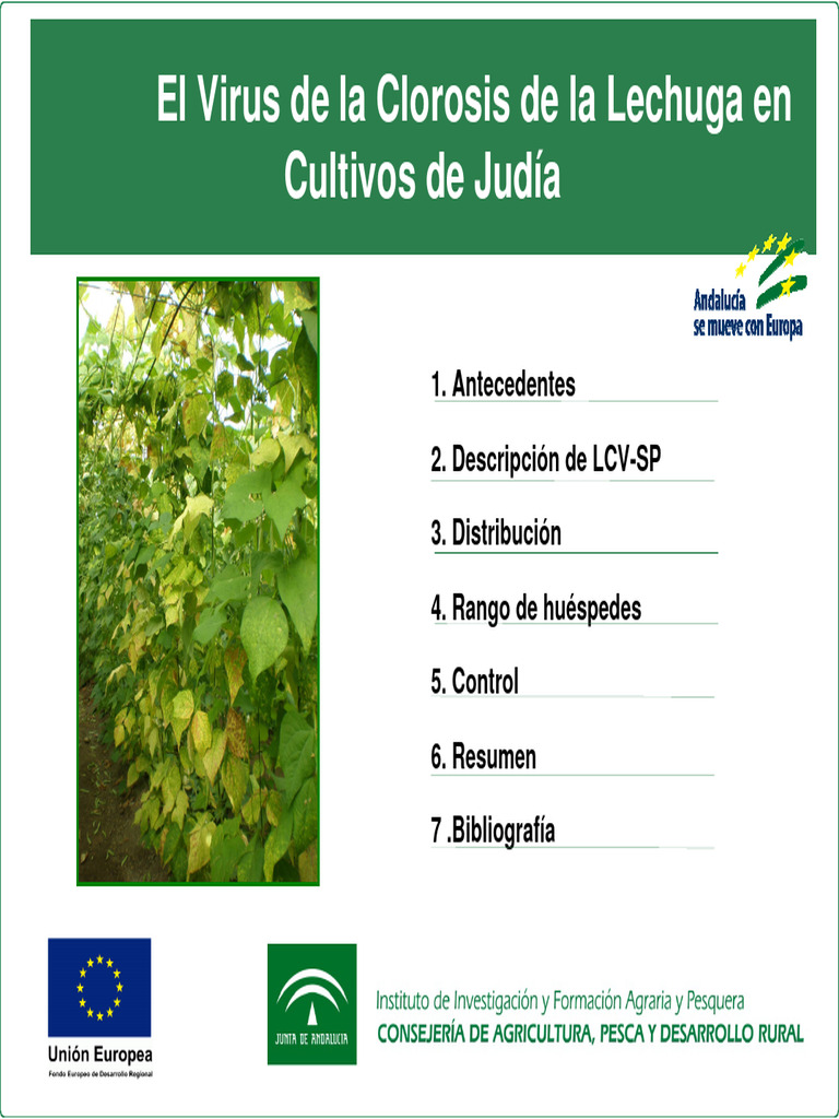 Servifapa LCV | PDF | Guisante | Virus