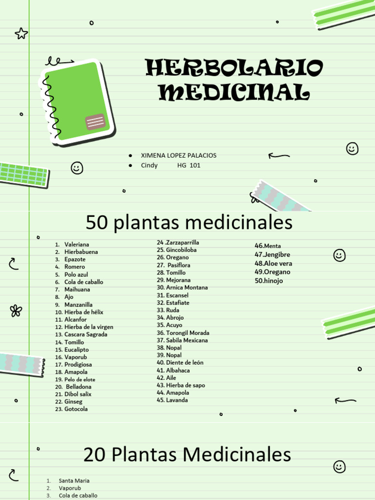 25 Plantas Medicinales y Sus Usos | PDF | Hogar, jardinería y bricolaje ...