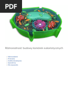 Budowa I Funkcje Komórki. Rodzaje Komórek | PDF