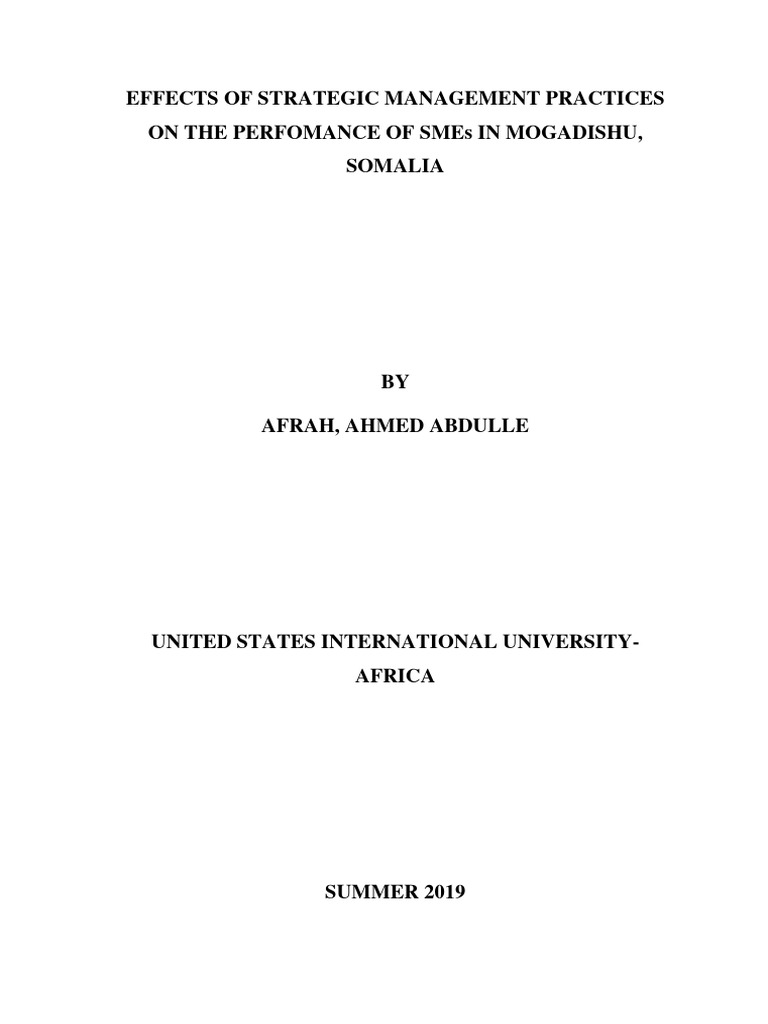 Afrah, Ahmed Abdulle Mba 2019 | PDF | Statistics | Small And Medium Sized Enterprises