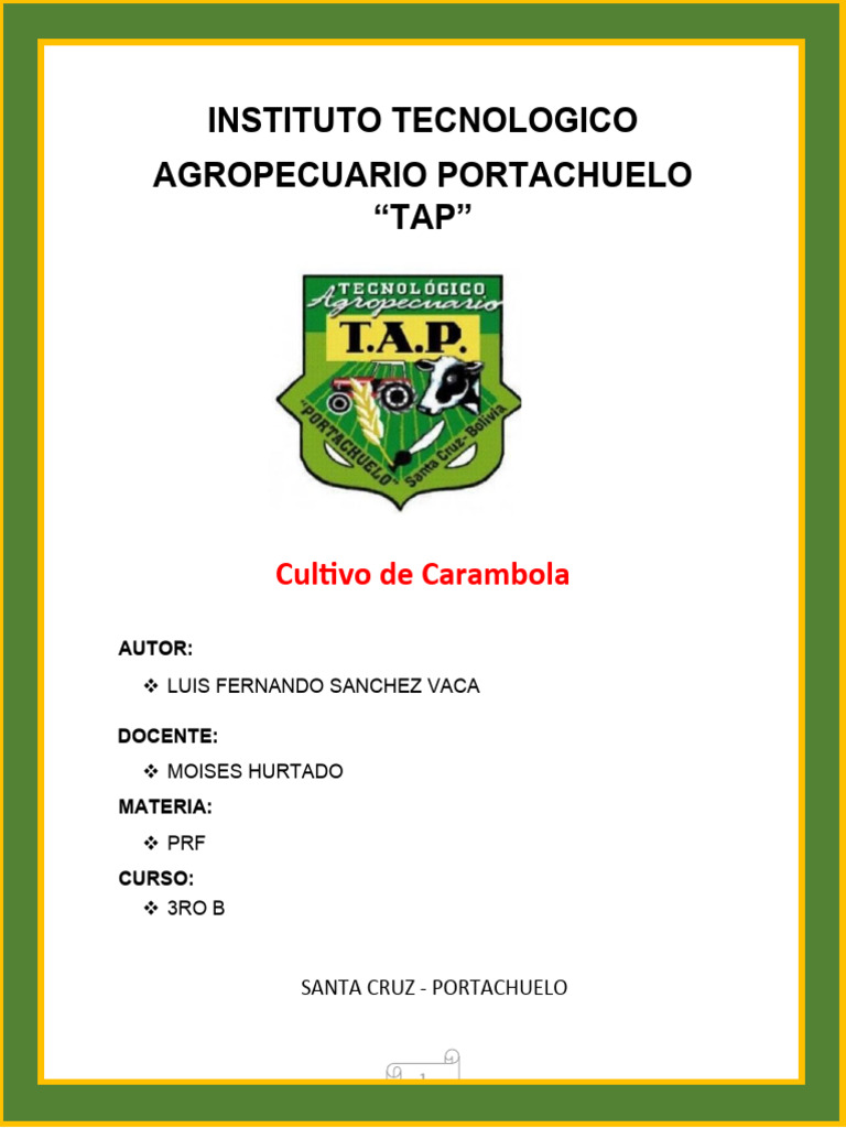 Chali Carambola | PDF | Riego | Fertilizante