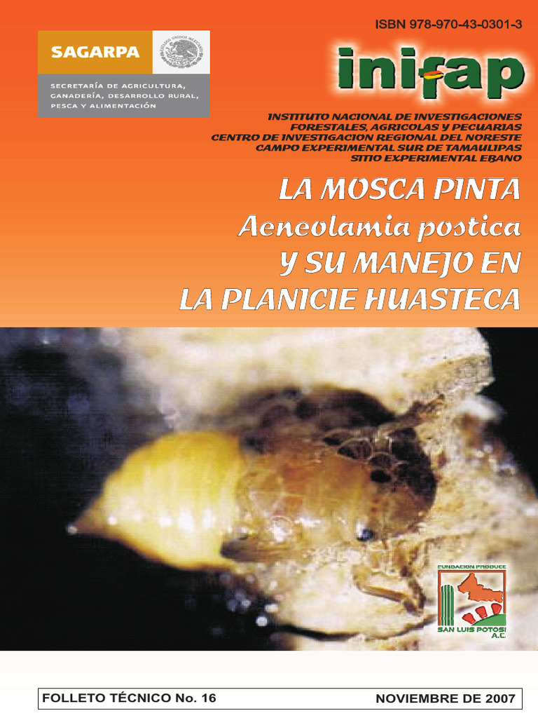La Mosca Pinta Aeneolamia Postica Y Su Manejo en La Planicie Huasteca ...