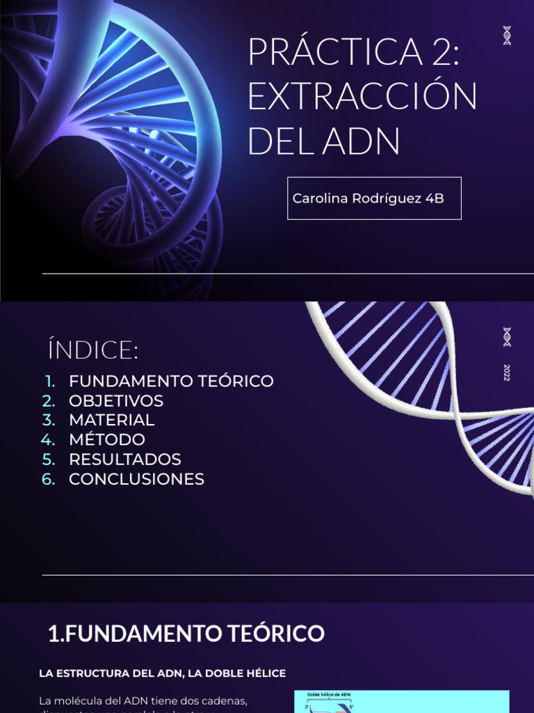 EXTRACCIÓN DEL ADN | PDF | Adn | Nucleótidos